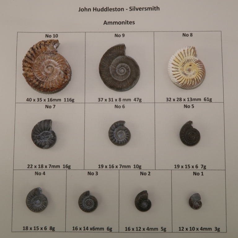 Cast silver ammonite jewellery – John Huddleston – Silversmith